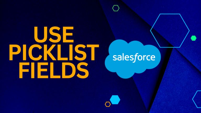How to Use Picklist Fields in Salesforce - Salesforce Mamba