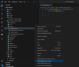 How to Connect Visual Studio Code with Salesforce - Salesforce Mamba