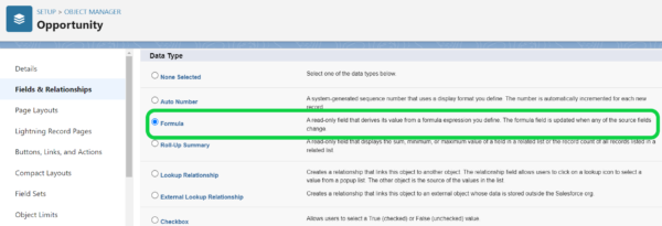 Use Formula Fields to Capture Lookup Field - Salesforce Mamba