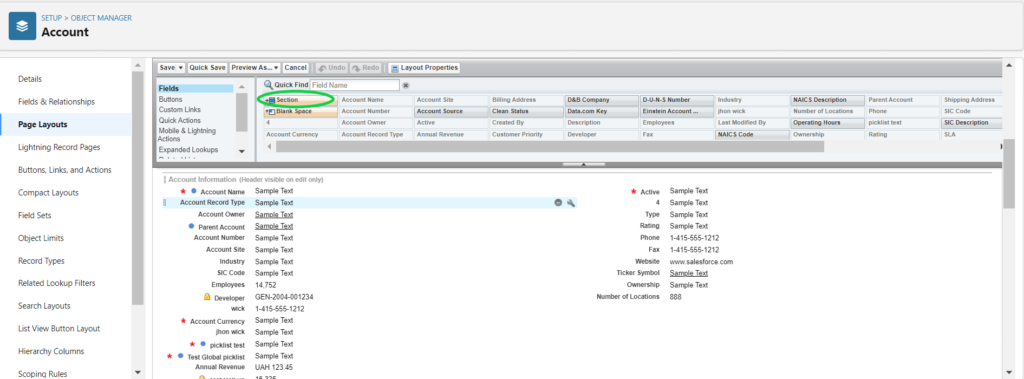 How to manage Page Layout - Salesforce Mamba