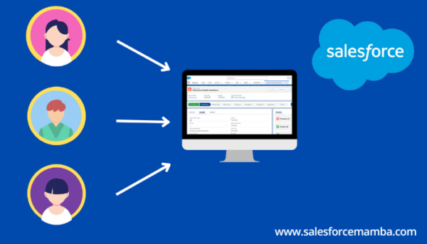 How to manage Page Layout - Salesforce Mamba